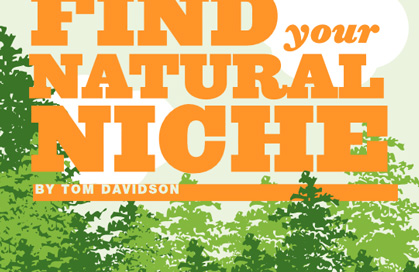 From Little-Known Generalist to Well-known Expert A Personal Case Study ...